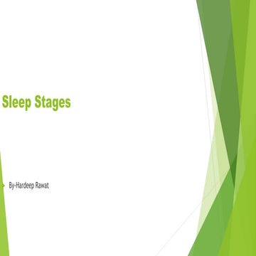 Sleep Stages.pptx