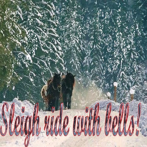 Sleigh Ride With Bells! | PPS