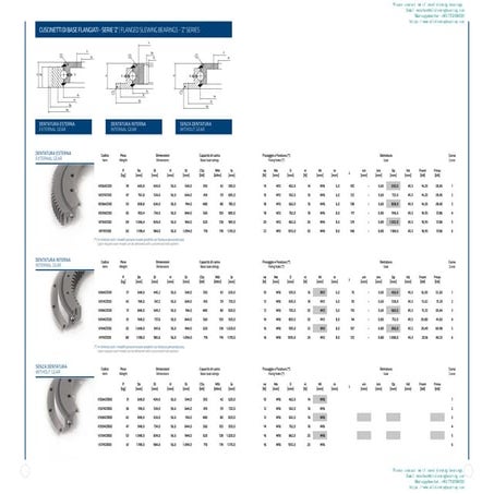slewing bearing model & catalog slewing ring factory (6).pdf