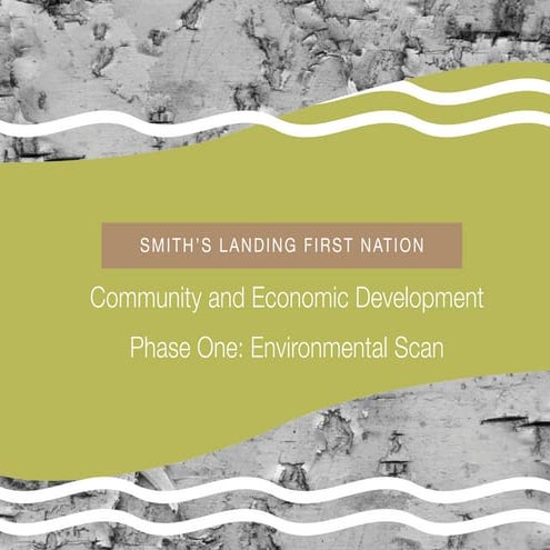 SLFN Environmental Scan | PDF | Business | Business and Finance