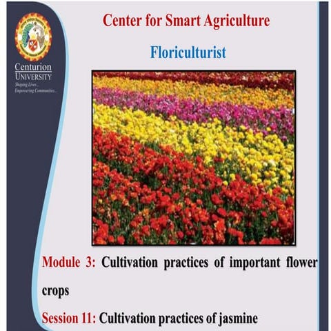 Slide-11-Cultivation-practices-of-jasmine-2.pdf
