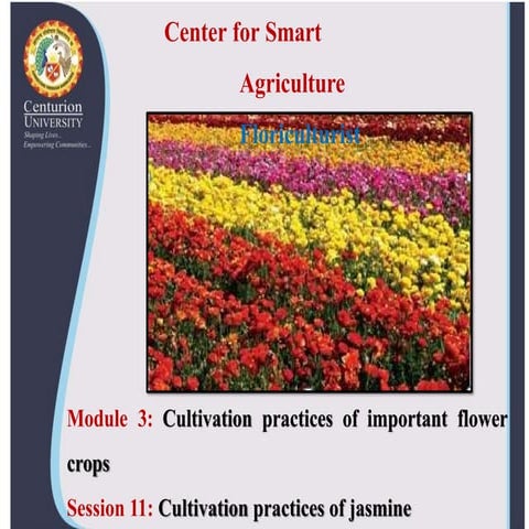 Slide-11-Cultivation-practices-of-jasmine-2 (1).pptx