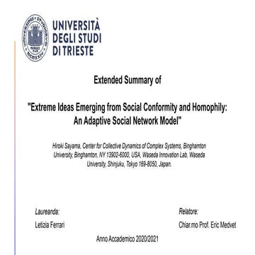 Extended Summary Of Extreme Ideas Emerging From Social Conformity And