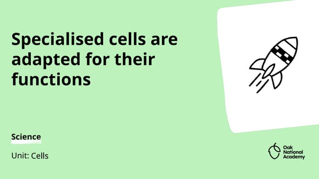 Cells-and-Organisation-L4-Specialised-Cells-PowerPoint.pptx