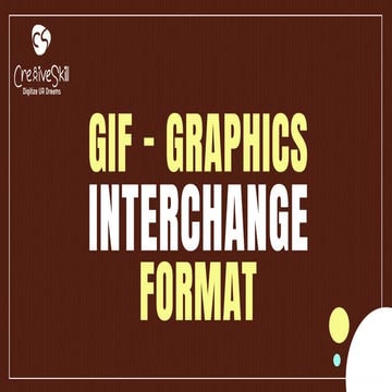 GIF - Graphics Interchange Format | PDF