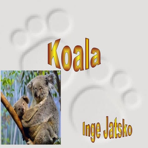 KOALAS | PPTX
