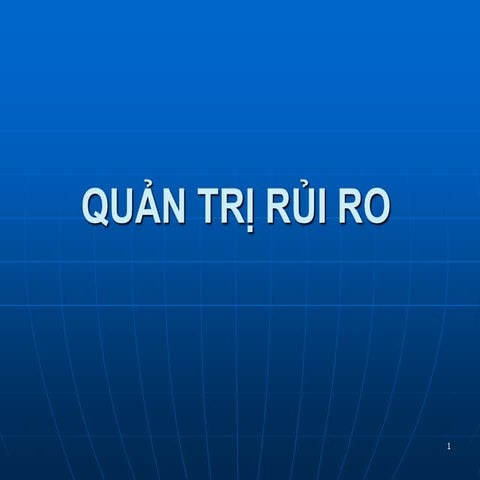 slide-quan-tri-rui-ro-vcu.pptx