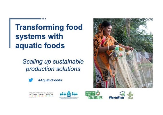 Transforming food systems with aquatic foods: Advancing equitable livelihoods for healthy people ...