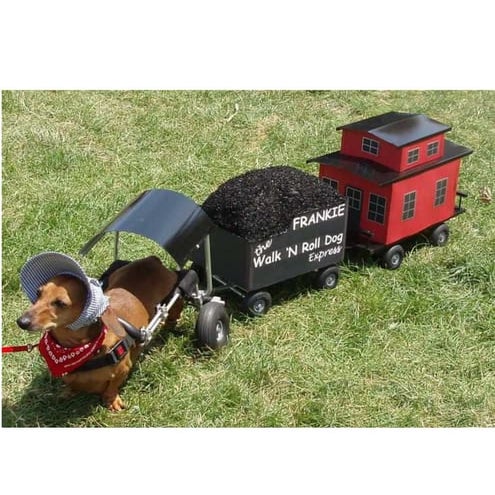 Slide #22 train frankie | PDF