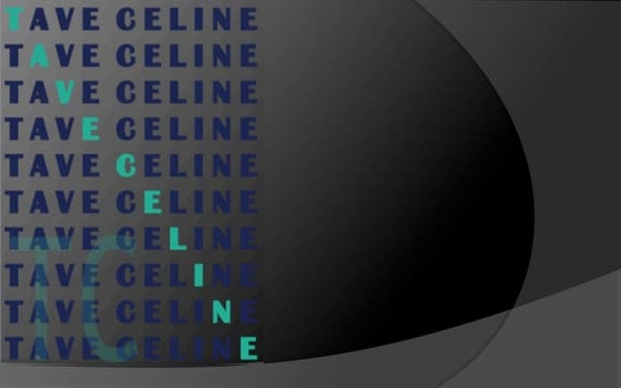 LinkedIn Portfolio | PDF