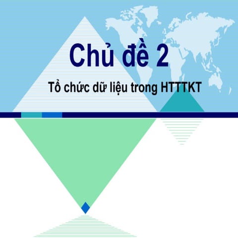 Tổ chức dữ liệu trong HTTTKT | PDF