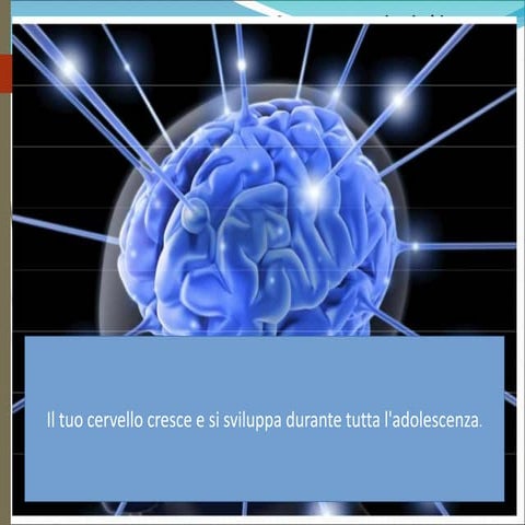 Catene whatsapp | PPTX