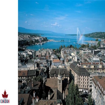 Molson Canadian vs Labatt Blue Battle of the Brands | PDF