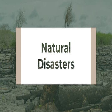 Slide_Egg-200337-Natural Disastjefrs.pptx