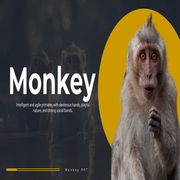 Slide_Egg-87851-Monkey PPT.pptx...............................k | PPT