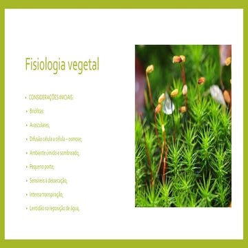 Aula sobre Fisiologia vegetal para biomedicina | PPTX