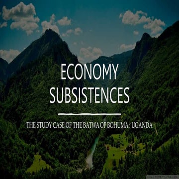 slide for economy subsistences (3).pptx