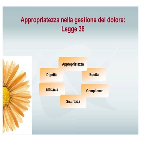 Slide kit Legge 38 del 15 marzo 2010 | PDF