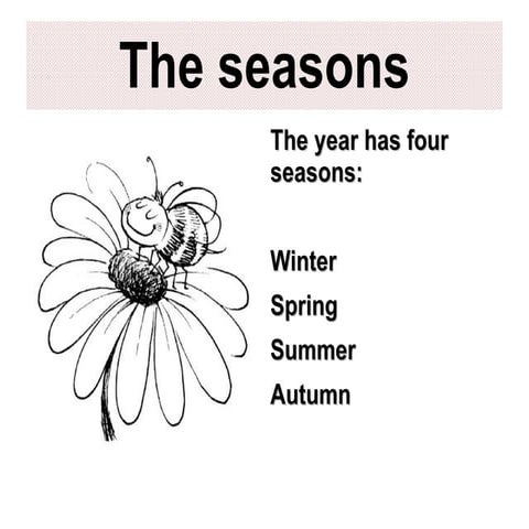 The Seasons | PPT