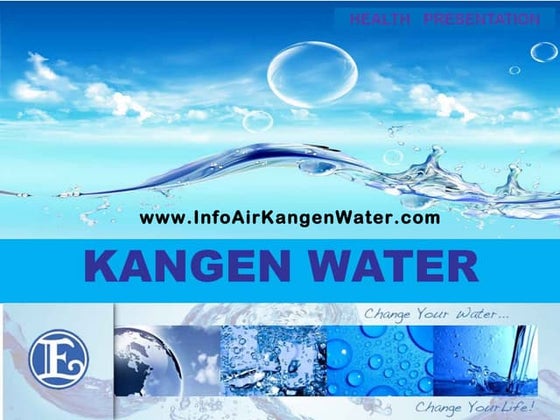 Kangen Water Guide | PDF