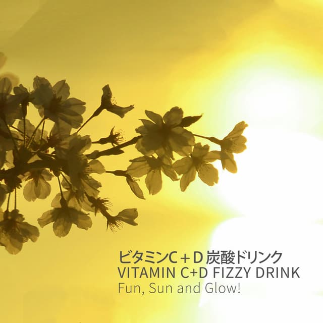 Vitamin C+D Fizzy Drink | PDF