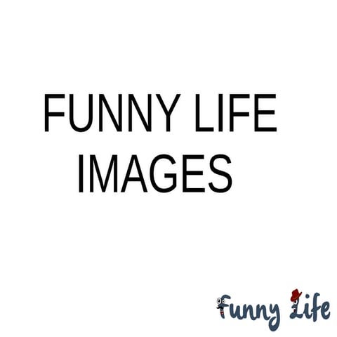 Funny Life Images | Most Funny Pics | PPT