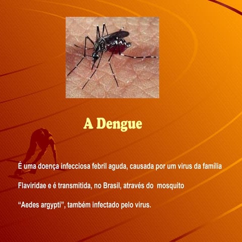Slides a dengue | PPT