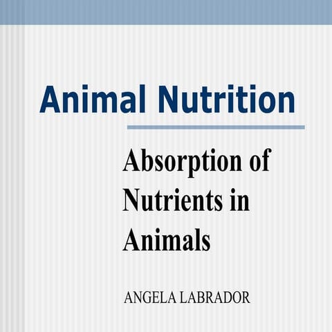animal nutrition | PPT