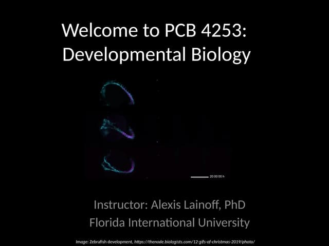 Slides for Lec 1 - Getting started (Student Copy).pptx Slides for Lec 1 - Getting started (Student Copy).pptx