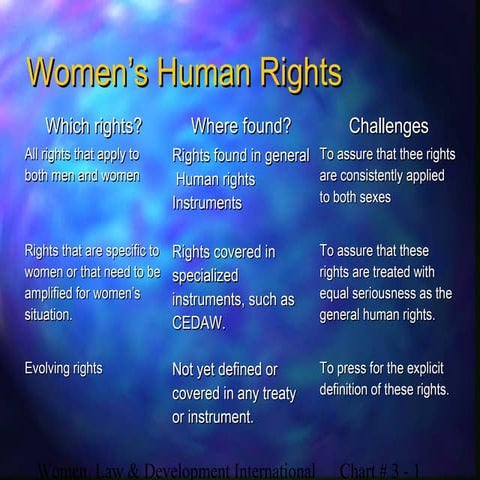 Slides for unit 3 women's human rights | PPT