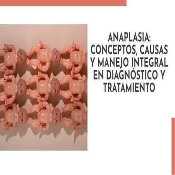 slidesgo-anaplasia-conceptos-causas-y-manejo-integral-en-diagnostico-y ...