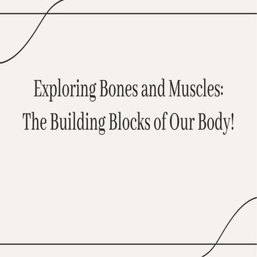 slidesgo-exploring-bones-and-muscles-the-building-blocks-of-our-body ...