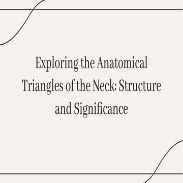 slidesgo-exploring-the-anatomical-triangles-of-the-neck-structure-and ...