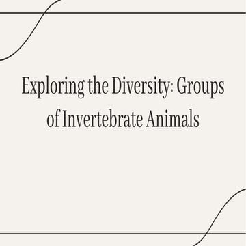 slidesgo-exploring-the-diversity-groups-of-invertebrate-animals ...