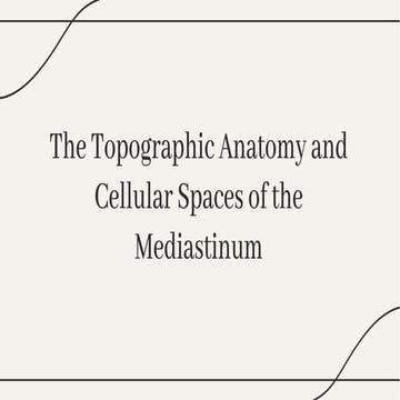 slidesgo-exploring-the-topographic-anatomy-and-cellular-spaces-of-the ...