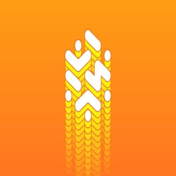 Hands-on activity on Data Visualization | PPT