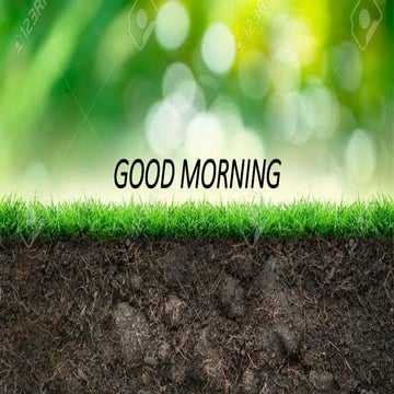 Slideshare about soil and features of soil | PPTX