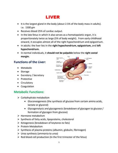 Function of the liver | PPT | Endocrine and Metabolic Diseases ...