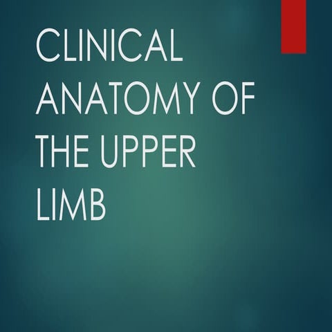 slideshare.com clinical anatomy of UL.ppt