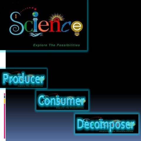 chmsc lab. school science project | PPTX