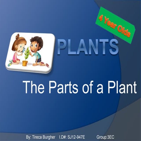 Topic: Parts of a plant for the 4th grades | PPTX