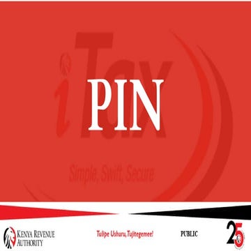PIN Requirements | PDF