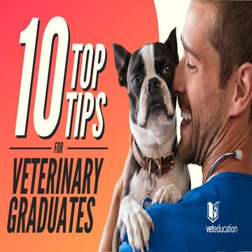 Top 10 Tips for Veterinary Graduates | PDF