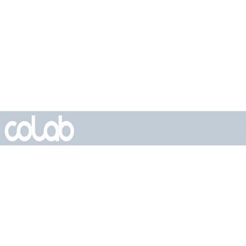colab design practices | PPT