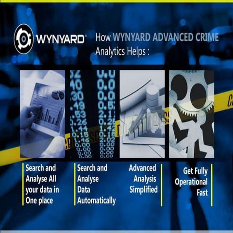Wynyard Group Advanced Crime Analytics | PPTX