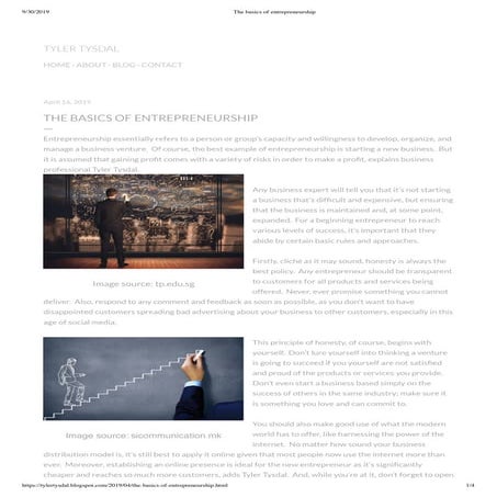 THE BASICS OF ENTREPRENEURSHIP | PDF