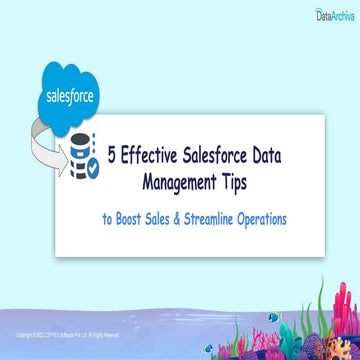 5 Effective Salesforce Data Management Tips To Boost Sales And Streamline