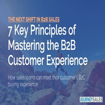 7 Key Principles of Mastering the B2B Customer Experience | PDF