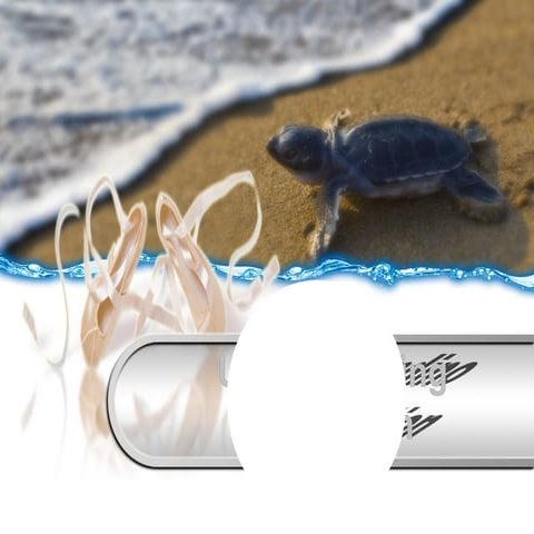 Chapter 12 ap psych- Motivation | PPT