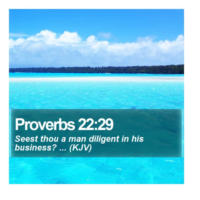 Proverbs 22:29 - Daily Bible Verse | PDF